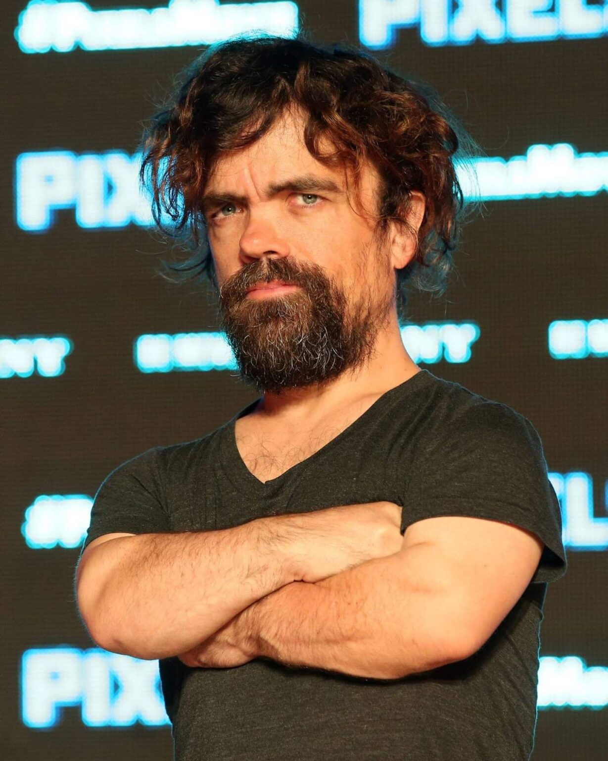 Peter Dinklage Biography, Height, Age, Family, Girlfriend, Net Worth ...