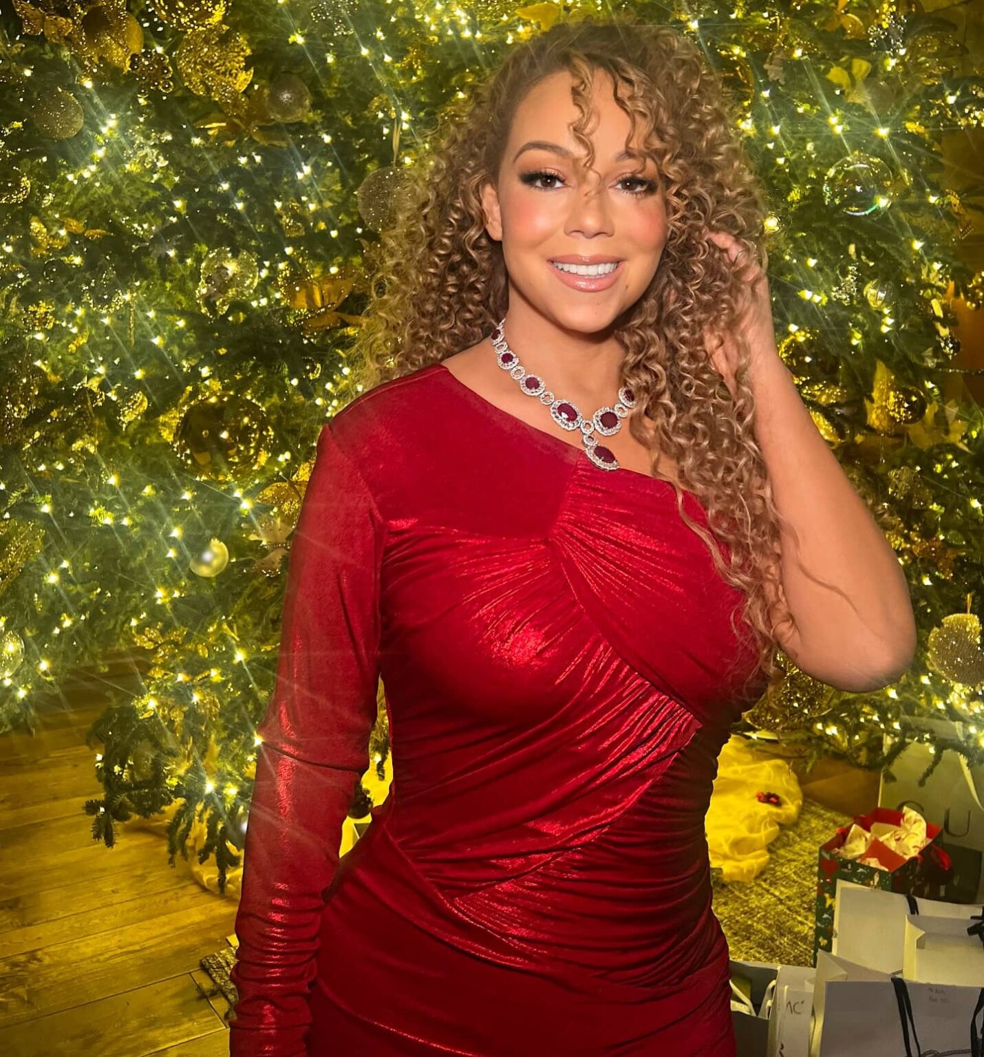 Mariah Carey Biography, Height, Age, Family, Boyfriend, Net Worth and ...