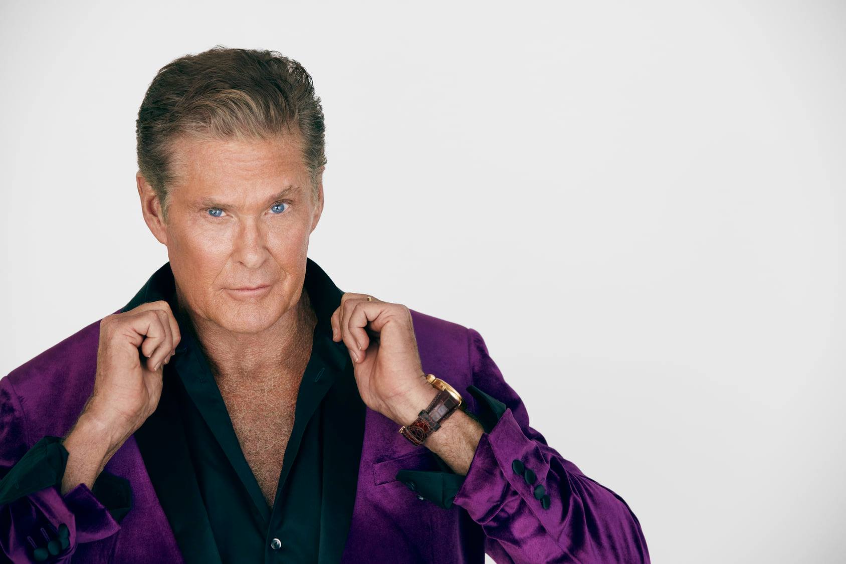 David Hasselhoff Net Worth, Wife, Wiki, Age, Height, Parents, Movies ...